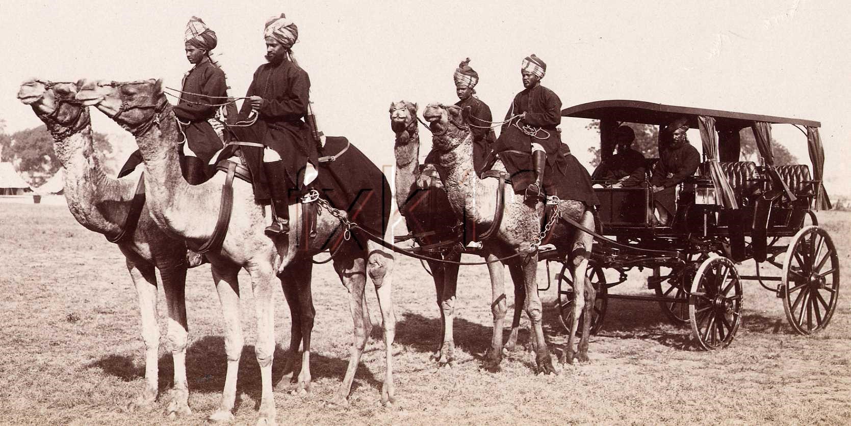 Vancouver Local 846 Celebrates APRIL: Sikh Heritage Month – CUPW Vancouver